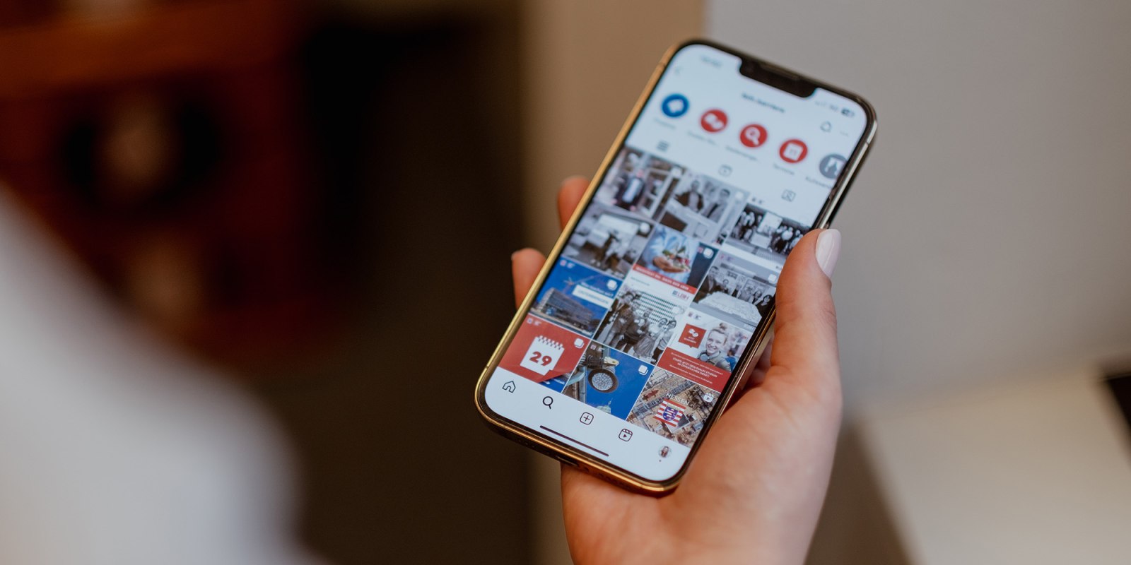 Start / LBIH Karriere